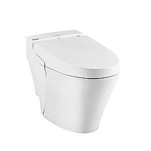American Standard 297AA204-291 Advanced Clean 100 SpaLet Toilet, Alabaster White