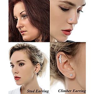 Tornito 18Pcs Cartilage CZ Stud Earrings Conch Forward Helix Tragus Daith Piercing Lip Rings Snake Butterfly Jewelry for Women Men 16G Silver Tone