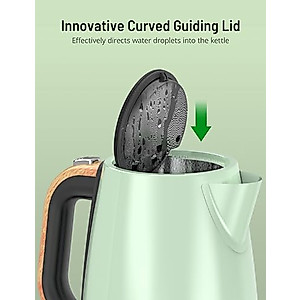 Paris Rhone Electric Kettle, Stainless Steel Electric Tea Kettle for Boiling Water, 1.7L Hot Water Boiler Heater, 1500W, Auto Shutoff, Boil-Dry Protection, LED Indicator, Coffee and Tea, Green