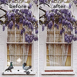 Defender Spikes, Cat and Bird Fence Spikes 20 Feet, Plastic Deterrent Anti Theft Climb Strips to Keep Racoons Away