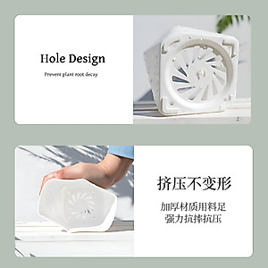 bisenwin Plant Pots Indoor Plastic Flower Pots Outdoor 5 inch Set of 6 Pack with Drainage Holes and Saucers for Garden pots (5 inch 6 pcs)