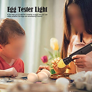 zjchao LED Egg Candler Light, High Intensity Bright Cool Light Monitoring Eggs Development Flashlight for Chickens Ducks Birds Eggs