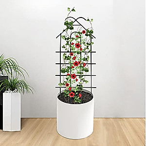 ARIFARO 32'' Metal Garden Trellis for Climbing Plants, Indoor/Outdoor Sturdy Plant Trellis for Potted Plants,House Plants, Climbing Vines, Pack of 4, Black