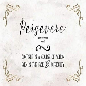 Posterazzi Persevere Definition Poster Print by Tara Moss, (22 x 28)
