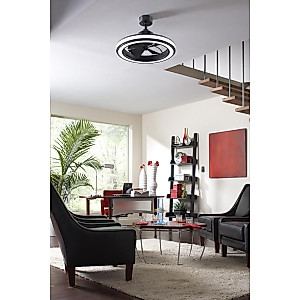 Fanimation Gleam Indoor/Outdoor Ceiling Fan with LED Light Kit 16 inch - Black