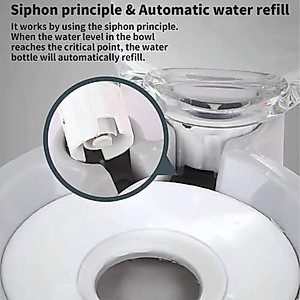 Fhiny Dog Cat Double Bowls, Bunny Automatic Water Bottle Set Dispenser Detachable Stainless Steel Bowls for Small Animals Cats Kitten Puppy Squirrel