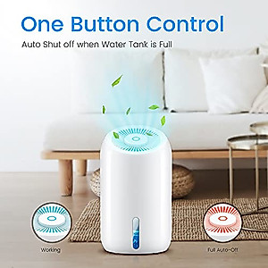 Dehumidifier - 31oz(900ml) 【40dB Ultra Quiet】 Small Dehumidifiers Up to 215 Sq ft with 【Overflow Protection】, 【Portable Mini Dehumidifiers】 for Home Bedroom Bathroom Basement Closet RV