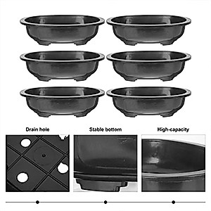 ERINGOGO 6 PCS Bonsai Training Pots, 15'' Oval Bonsai Planter Pot with Drainage Hole, Plastic Large Deep Flower Pot Plants Growing Pots for Nursery, Garden, Balcony
