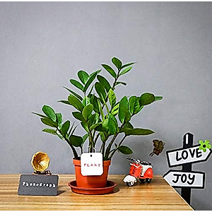 Dedoot Vintage Alphabet Stamps Set with Ink Pad 20 Colors, 70pcs Vintage Wooden Rubber Letter Number and Symbol Stamp and 20 Colors Stamp Ink Pad for Card Making DIY Crafting Scrapbooking