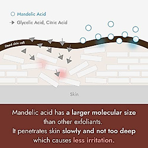 [BY WISHTREND] Mandelic acid 5% Skin prep water, Gentle skin exfoliator for face, Aha Bha toner, Essence, Ideal for sensitive skin | Helping clogged pores and pigmentation (4.1 Fl Oz (Pack of 1))