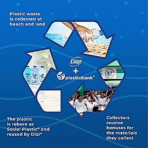 Dial Complete Antibacterial Foaming Hand Soap Refill, Fresh Pear, 52 fl oz