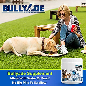 Bullyade Natural Dog Supplement with 18 Vitamins & Minerals. Mixes with Water or Food. (Beef)
