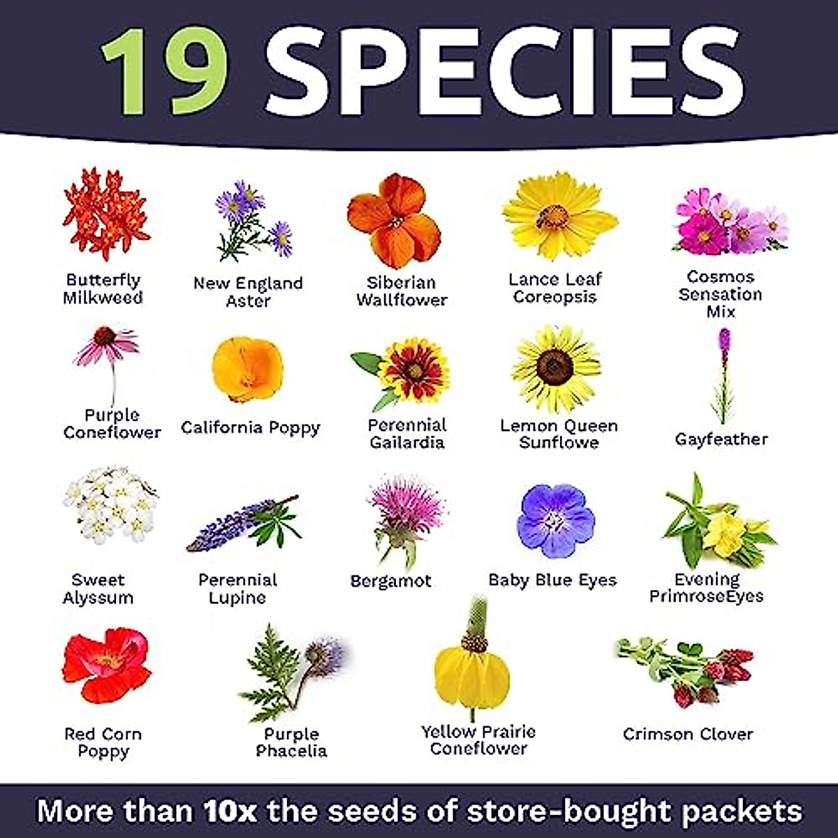 Bee Friendly Wildflower Seed Mix - Bulk 1 Ounce Packet - Over 7,500 Open Pollinated Seeds - Save The Bees!