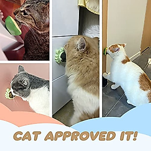 3 Pack Catnip Ball Toys, Squash Edible Cat nips Organic Balls, Catnip Ball Wall Mount, Crab Avocado Catnip Cat Toy for Cats Kittens Lick, Teeth Cleaning, Natural Effective Engaging Play (Blue)