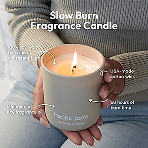 PACIFIC JADE Hand Poured 100% Natural Soy Candle 14oz - Luxury Fragrance in Matte Glass for Home or Gift - Premium Cotton Wick for 60 Hours Burn Time - Woman-Founded Brand (Sea of Sage)