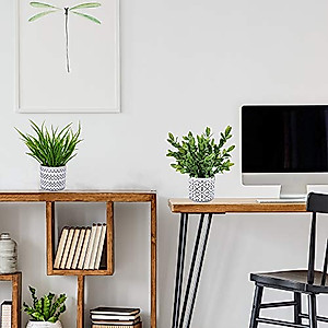 Winlyn Set of 2 Artificial Potted Plants Potted Eucalyptus Plant Artificial Grass in Modern Concrete Plant Pots Outdoor