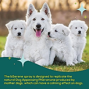 bSerene Pheromone Calming Spray for Dogs Helps Reduce Excessive Barking, Destruction, Stress, and Fear Great for Vet Visits, Boarding, and Targeted Calming, 60mL