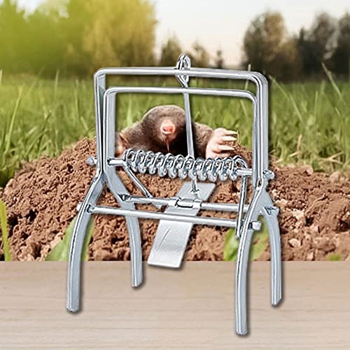 CHIHUOBANG Humane Kill Mouse Trap Catcher Garden Yard Farm Land Rat Cage Outdoor Mouse Catcher Anti Corrosion Durable Rat Trap Rat Trap Durable Anti Deformed for Garden Yard Patio farmland