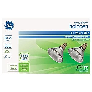 Ge 66280 Energy-Efficient Halogen 60 Watt Par38 Floodlight, 2/Pack