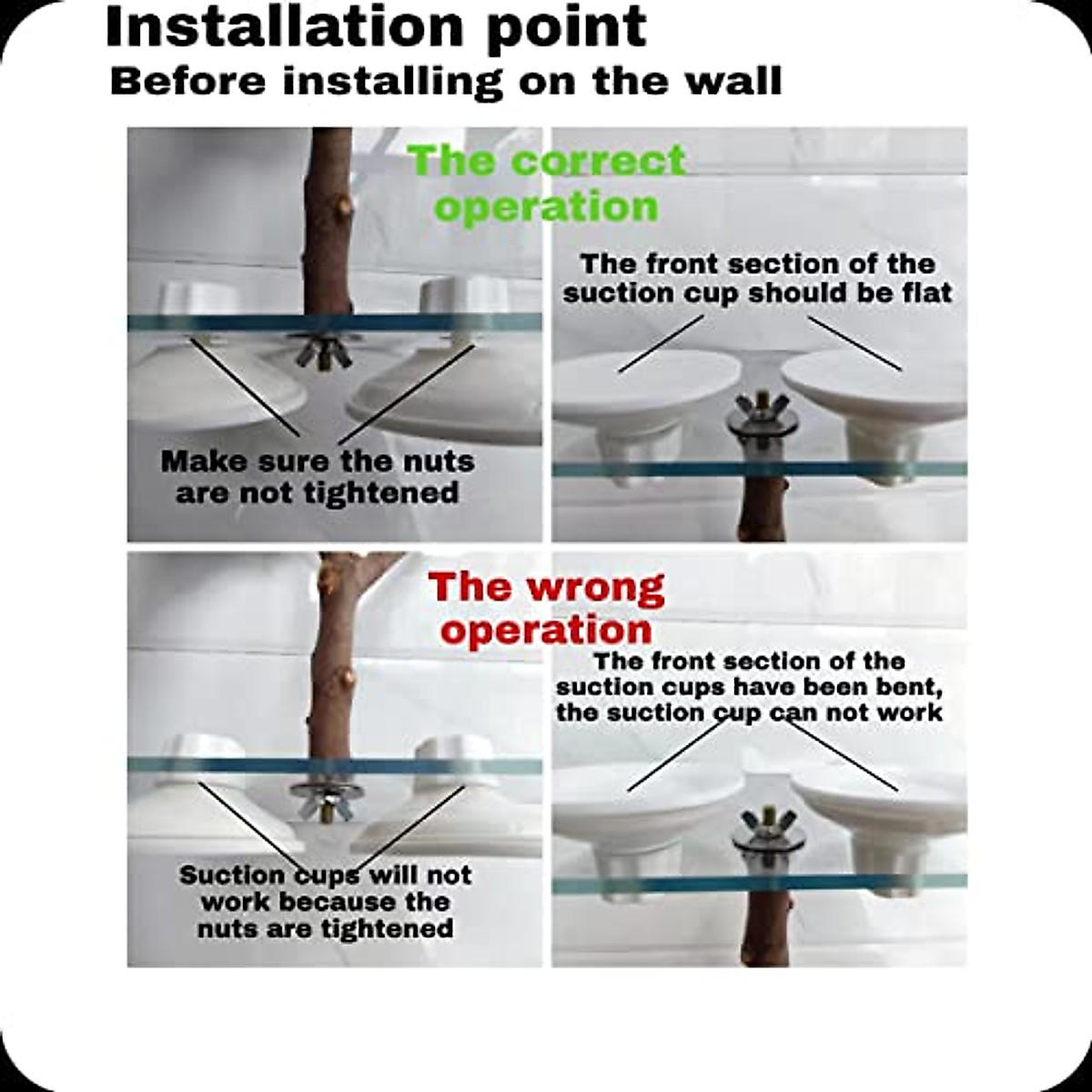 GJRGEG1Y Removable Window/Shower Perch Platform with Suction Cups for Bird Includes Stainless Steel Washer Robust and Stable Without Falling (Small)