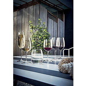 Luigi Bormioli Palace 11 oz White Wine Glasses (Set Of 6), Clear