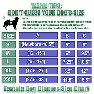 wegreeco Luxury Washable Reusable Dog Diapers (Stylish Pattern) - Durable Female Dog Diapers, Doggie Diapers, 3 Pack (Vigorous, Large)