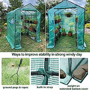 Greenhouse for Outdoors with Screen Windows, Ohuhu Walk in Plant Greenhouses Heavy Duty with Durable PE Cover, 3 Tiers 12 Shelves Stands 4.8x4.8x6.3 FT Plastic Portable Green House with Shelf Clips