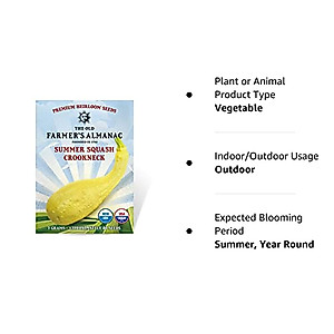 The Old Farmer's Almanac Heirloom Summer Squash Seeds (Yellow Crookneck) - Approx 70 Seeds - Non-GMO, Open Pollinated, USA Origin