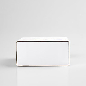 keephifi KZ ZSN Pro X Wired Ear Buds with Microphone,1BA+1DD Hybrid IEM Earphones Earbuds Punchy Bass,Comfortable Wearing, Detachable Cable for Audiophiles Musicians Singers Drummers(Gold,with Mic)