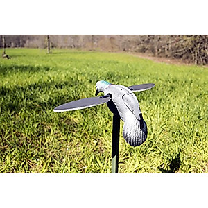 MOJO Outdoors Pigeon Decoy, Small 51-55cm,Multi,One Size,HW2410