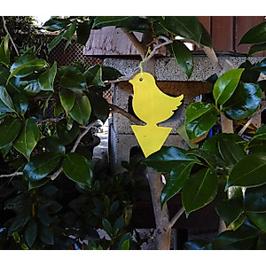 21C 21 CENTURY SOLUTIONS Yellow Sticky Fly Traps (25 Pack) for Gnat Whitefly Fungus Gnat Aphid Small Insects - Houseplant Disposable Glue Trappers - Bug Catcher - Bird Shape