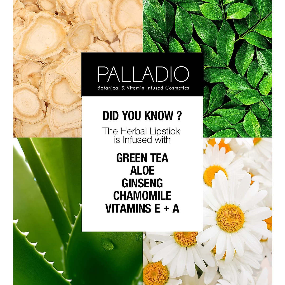 Palladio Herbal Matte Lipstick, Bella Pink, Creamy and Full Coverage Long Lasting Matte Lipstick