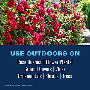 BioAdvanced All-in-One Rose & Flower Plant Care, Ready-to-Spray, 32FOZ