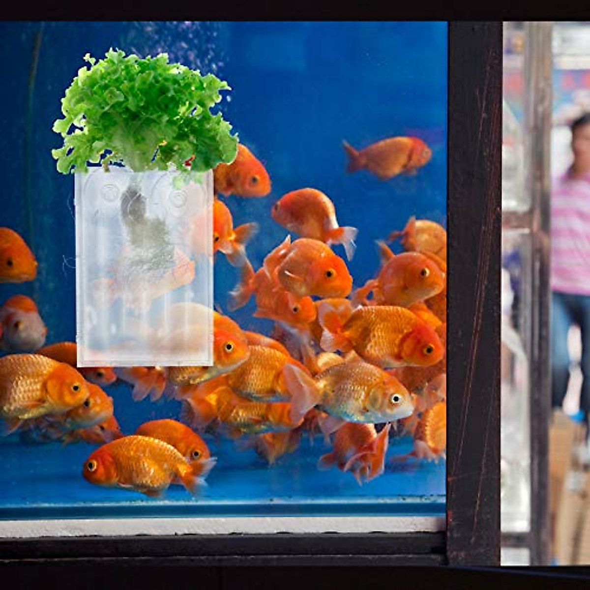 Mipcase Aquatic Plant Cup- Acrylic Fish Tank Water Plants Planter, Aquarium Planter Holder with Suction Cup, Aquarium Fish Tank Frame