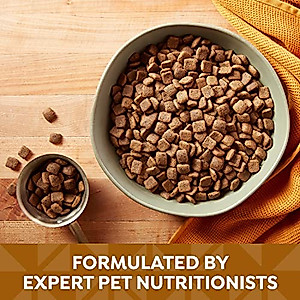 Nature′s Recipe Dry Dog Food, Mature Lamb & Brown Rice Recipe, 24 lb. Bag