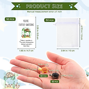 Qunclay 50 Sets Employee Appreciation Gifts Mini Sea Turtle Funny Inspirational Gift for Coworker Mini Greeting Cards You're Awesome Sign Cards Organza Bags Cute Turtles for Employee Teacher Staff