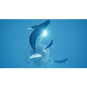 ABZÛ - Xbox One