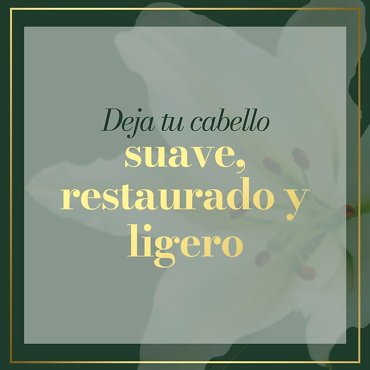 BIOEXPERT EXTRACTO DE PLANCENTA VEGETAL ACONDICIONADOR & SHAMPOO 350 ML