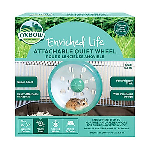 Oxbow Enriched Life Small Animal Accessories - Exercise Wheel for Dwarf Hamsters & Mice - Attachable Quiet Wheel (7 inch)
