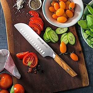 CUTLUXE Santoku Knife – 7" Chopping Knife – Olive Wood Handle – Full Tang – Olivery Series