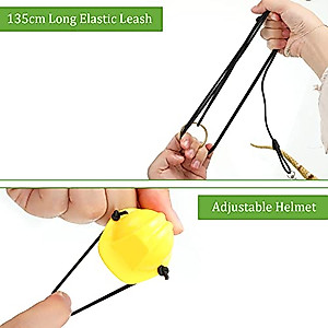 5 Pieces Bearded Dragon Accessories Toy Set Bearded Dragon Leashes and Harnesses S/M/L 3 Size Packed Lizard Harness Mini Scooter Lizard Helmet Hats Adjustable Bearded Dragon Leash (Black)