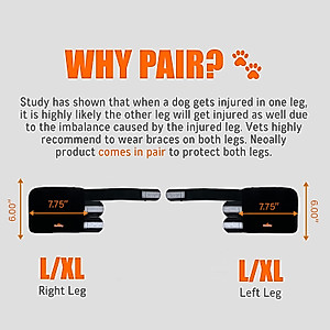 NeoAlly - 3-in-1 Dog Splint Front Leg Support, Front Leg Brace with Rigid and Spring Inserts, Dog Leg Sleeve for Pet Mobility, Stability, & Protection, With Reflective Straps, L-XL, 1 Pair