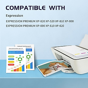 ZIPRINT Remanufactured Ink Cartridge Replacement for Epson 273XL 273 T273 XL for Expression XP-800 XP-810 XP-820 XP-600 XP-610 XP-620 XP-520 Printer (Black Cyan Magenta Yellow Photo Black, 5-Pack)