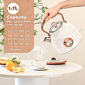 NESSGRAIM Retro Electric Kettle, 1.7L Stainless Steel Tea Kettle with Large Temperature Gauge, 1500W Fast Heating Hot Water Boiler with LED Indicator, Auto Shut-off & Boil-Dry Protection-Elegant White