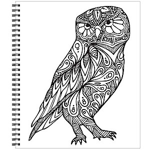 Color Me! Adult Coloring Book (Skull Cover - Includes a Variety of Images)