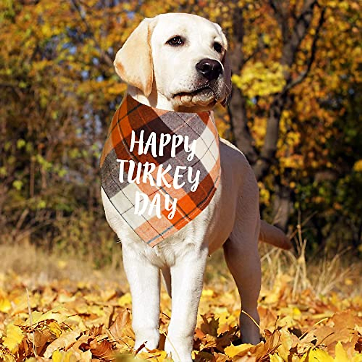 STMK Holiday Dog Bandanas, 4 Pack Halloween Thanksgiving Day Fall Dog Bandanas for Halloween Thanksgiving Day Fall Dog Puppy Costume Decorations