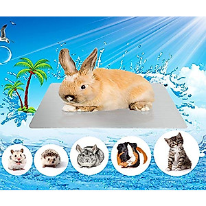 Comtim Rabbits Cooling Mat, Self Cooling Mat Pad for Hamster Guinea Pig Chinchilla Bunny Kitten Cat and Other Small Animals, Pet Cool Plate Ice Bed, Rapid Cooling - Perfect for Hot Summer Weather, L