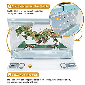 RunDuck Foldable Reptile Terrariums Kits Gecko Tank with Plant, Feeding Bowl, Carpet, Easy to Carry, Easy to Move with Wheels, Heat-Resistant Material, Suitable for Snake Tortoise Leopard Gecko