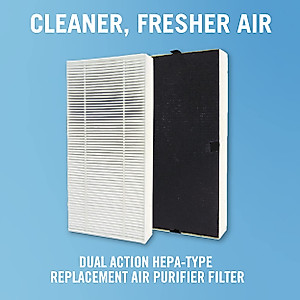 Febreze Replacement Dual Action HEPA-Type Air Purifier Filter, U Filter, 1-Pack, FRF101B