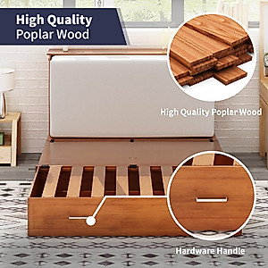 ijuicy Cabinet Murphy Beds with Built-in Charging Station, Solid Wood Cabinet Chest Bed with Folding Mattress, Murphy Cube Chest Bed with Large Drawer for Guest Room, Office-Queen, Cherry